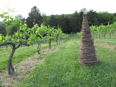 How to Craft with Grapevines - Countryside